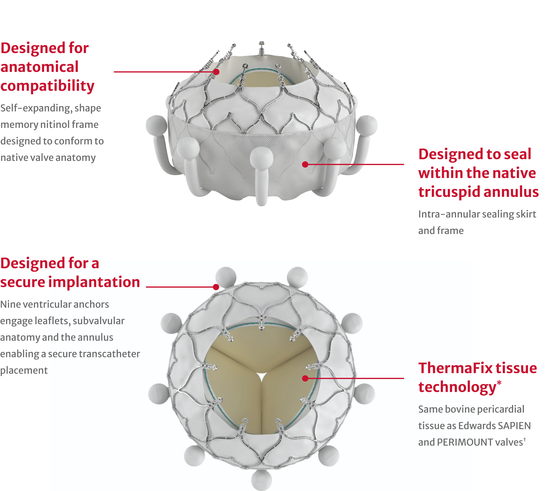 Evoque Tricuspid Valve Replacement Edwards Lifesciences